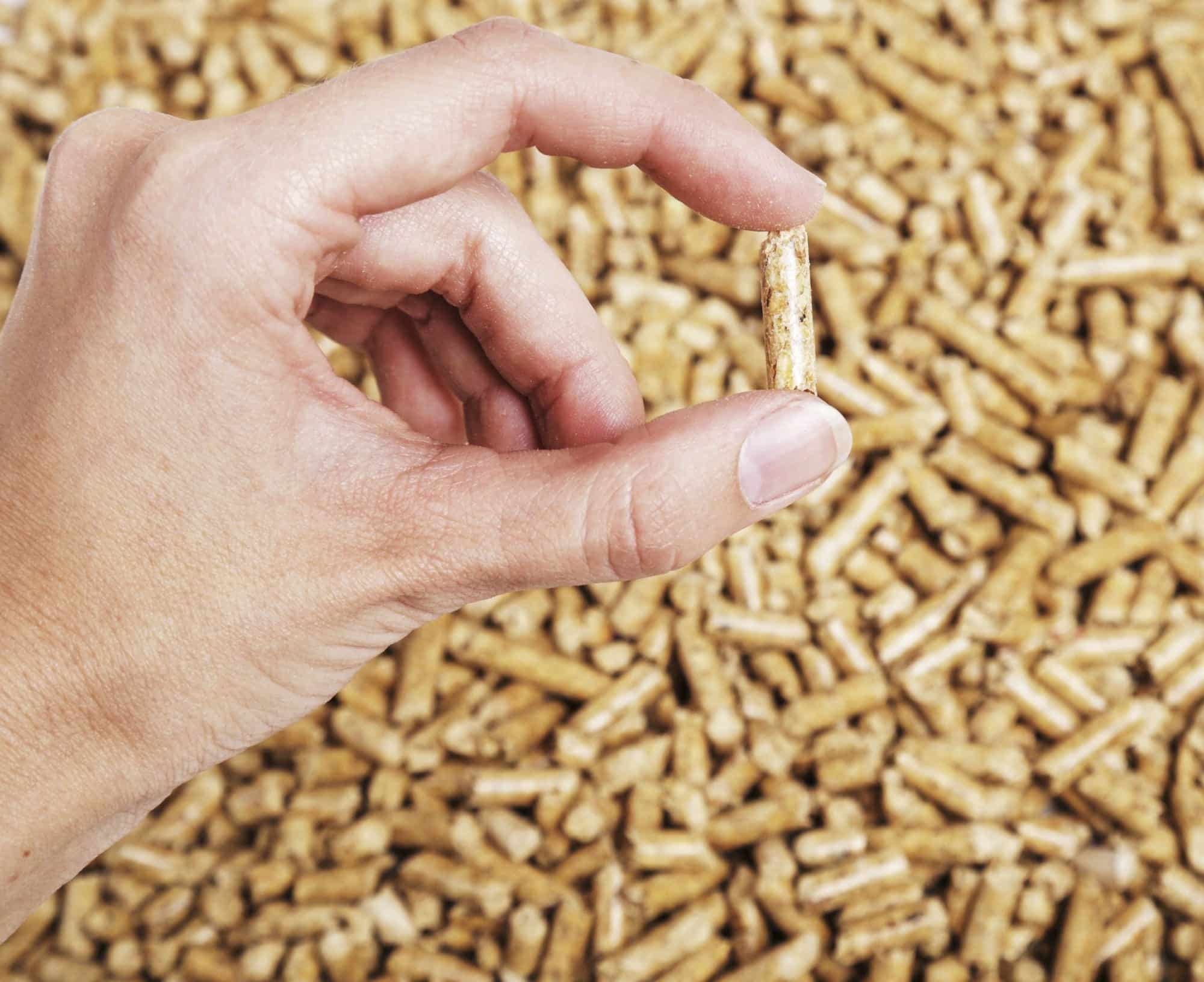 Les normes de pellets : quelles différences entre din plus, en plus et ...